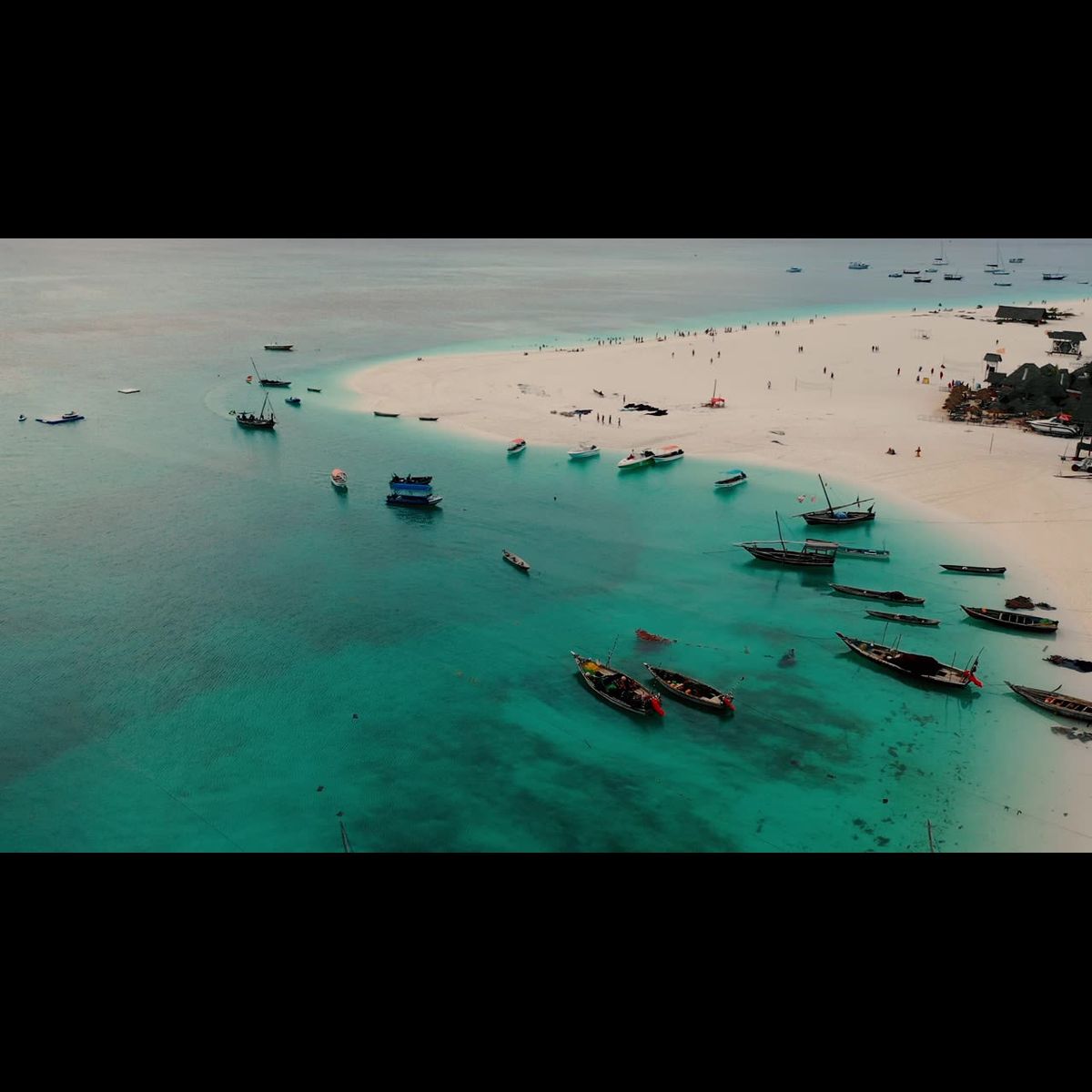 Voices from the IMO International Maritime Law Institute